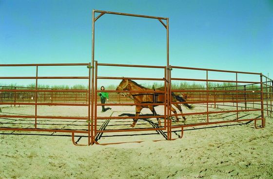 Farm Animal Corral Fence Galvanized Metal Round Rail Livestock Horse Cattle