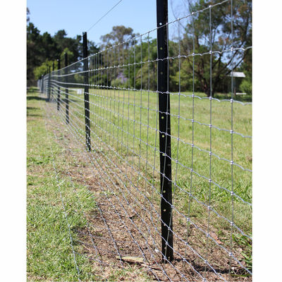 Agriculture Land Fixed Knot Deer Fence