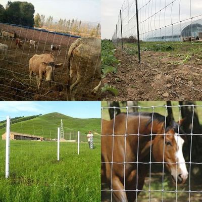 Hog Wire Fixed Knot Fence 330ft Paintball Field Fixed Knot Fencing