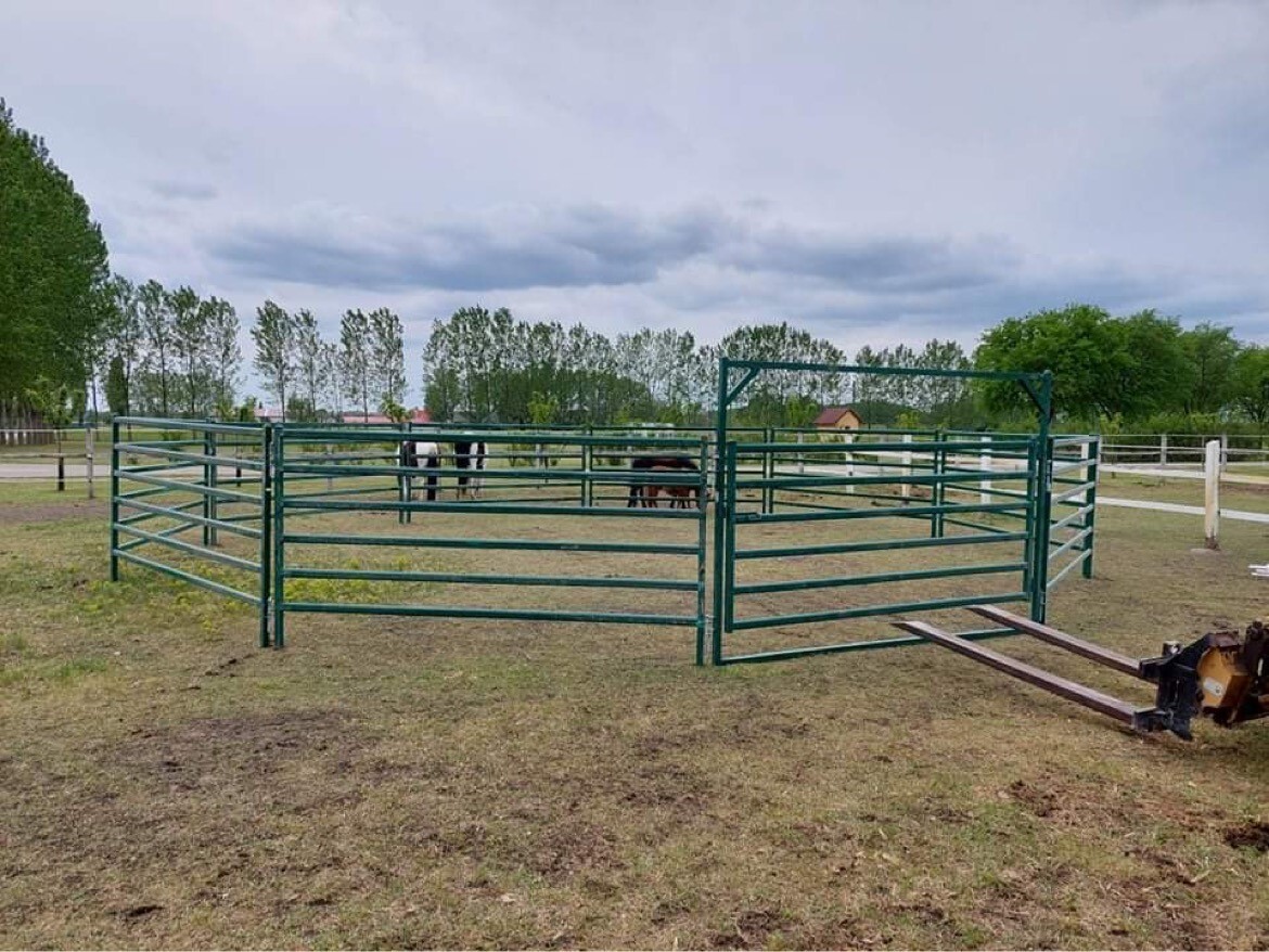 Animal Farm Livestock Galvanized Pipe Corral Panels For Horse Cattle ...